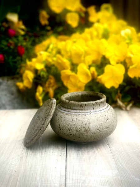 Lidded Pot - Small – Perkins Cove Pottery Shop