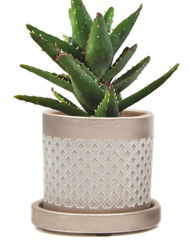 Lee Spiller Stone Vase – Perkins Cove Pottery Shop